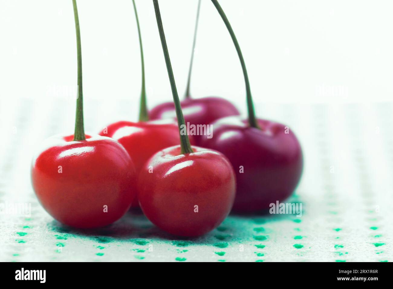 Fleece tree fruit hi-res stock photography and images - Alamy