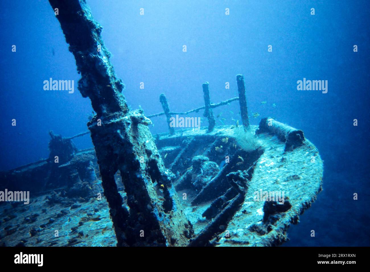Potato Reef Shipwreck, Embudu, Maldives, South Male Atoll Stock Photo ...