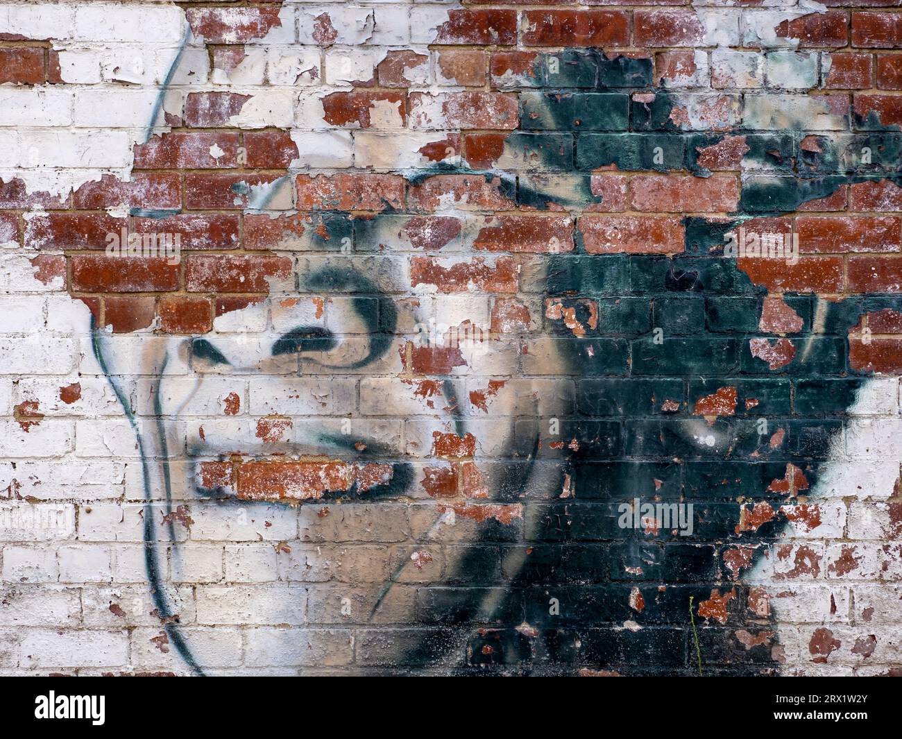 Mural nelson mandela hi-res stock photography and images - Alamy