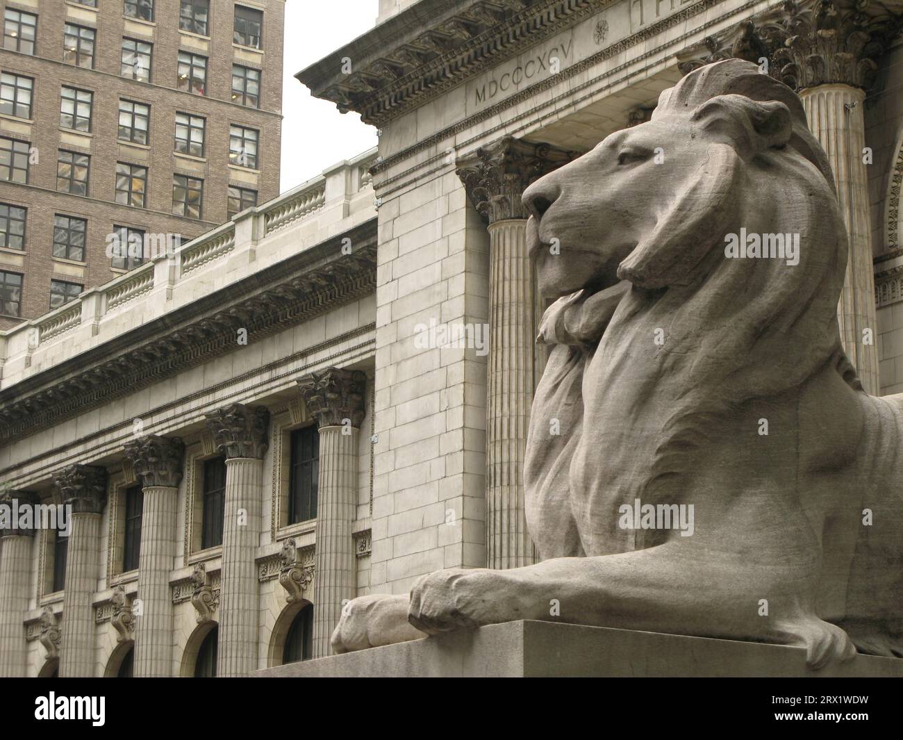 New York City Public Library Exterior with lion statue Stock Photo - Alamy
