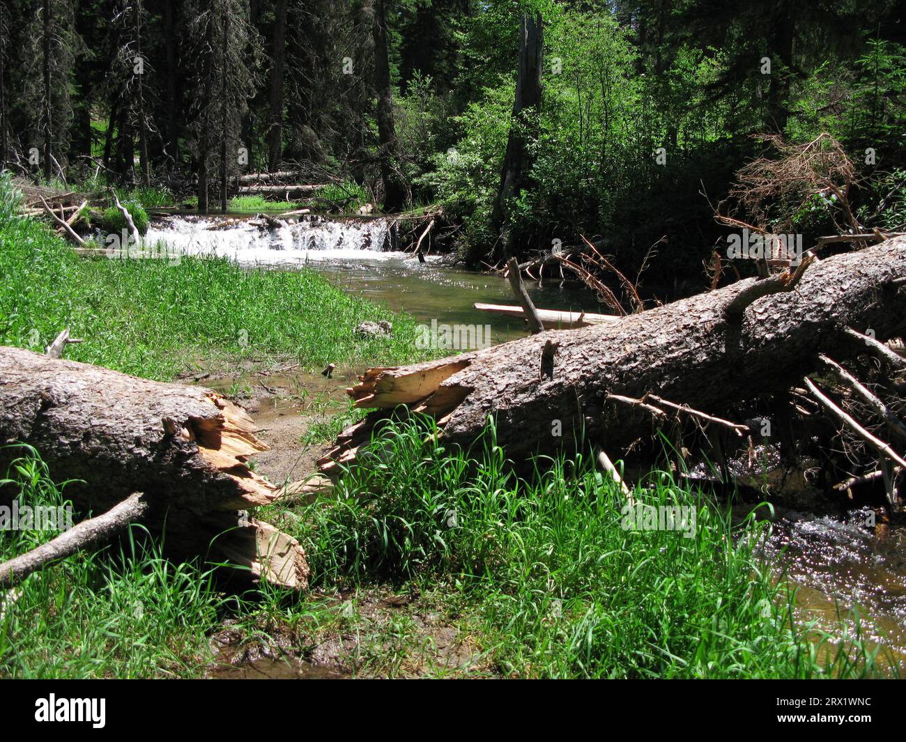 Opposite creek hi-res stock photography and images - Alamy