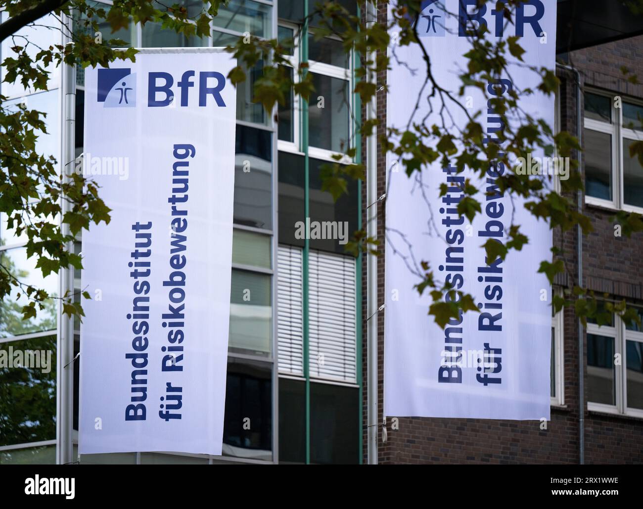 Berlin, Germany. 22nd Sep, 2023. Flags with the logo of the Federal ...