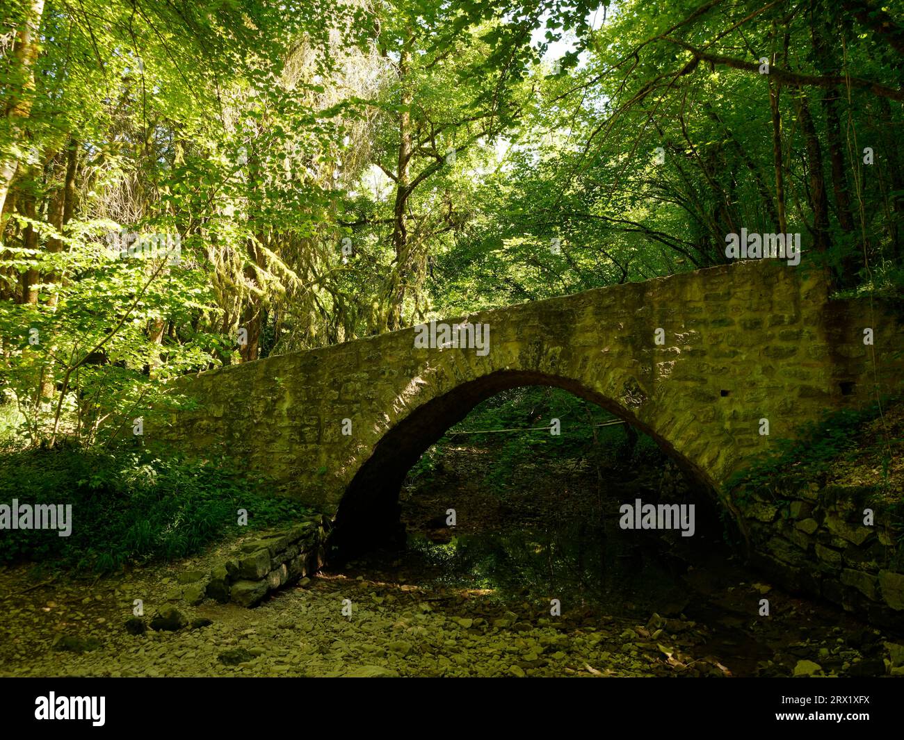 Old bridge in the forest, France Stock Photo - Alamy