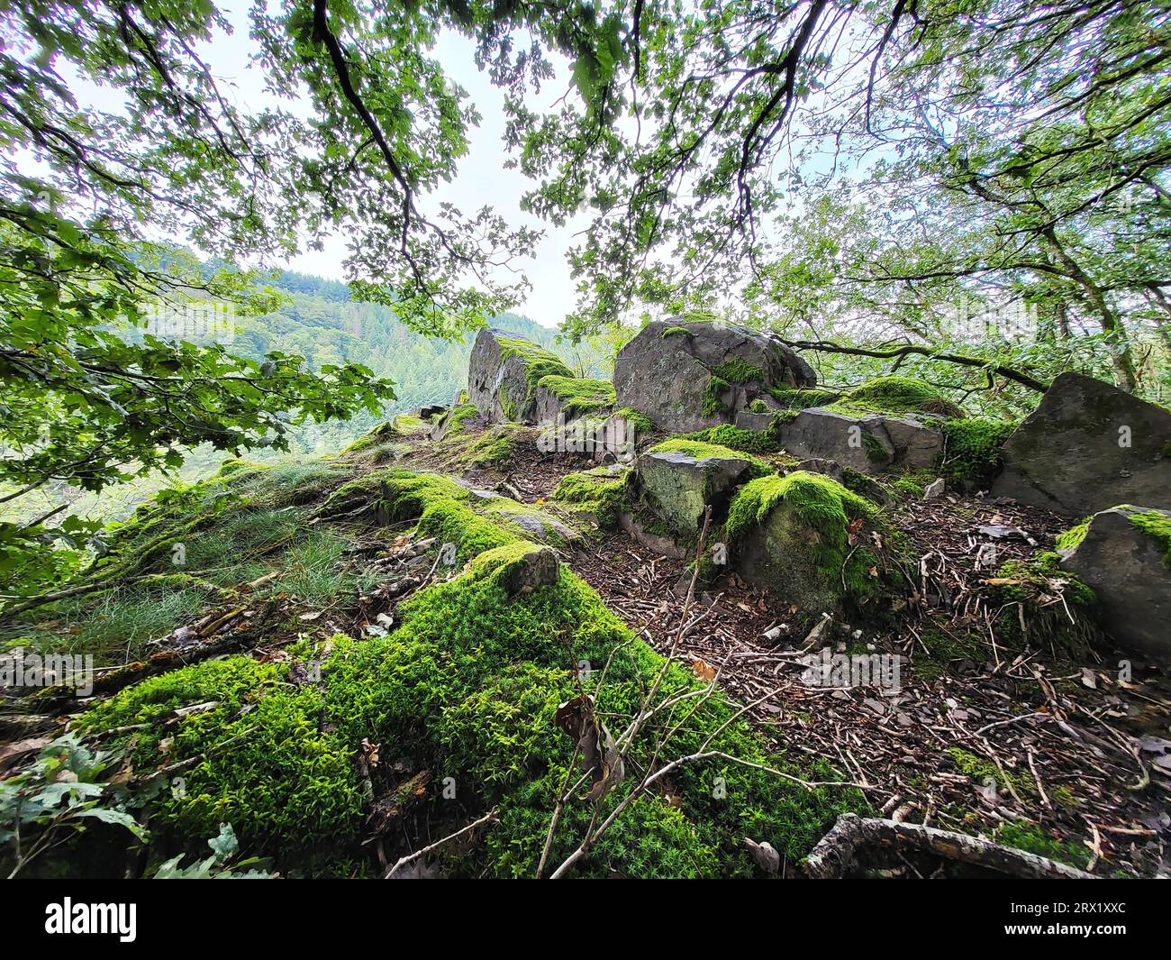 Large rocks covered with moss hi-res stock photography and images - Alamy