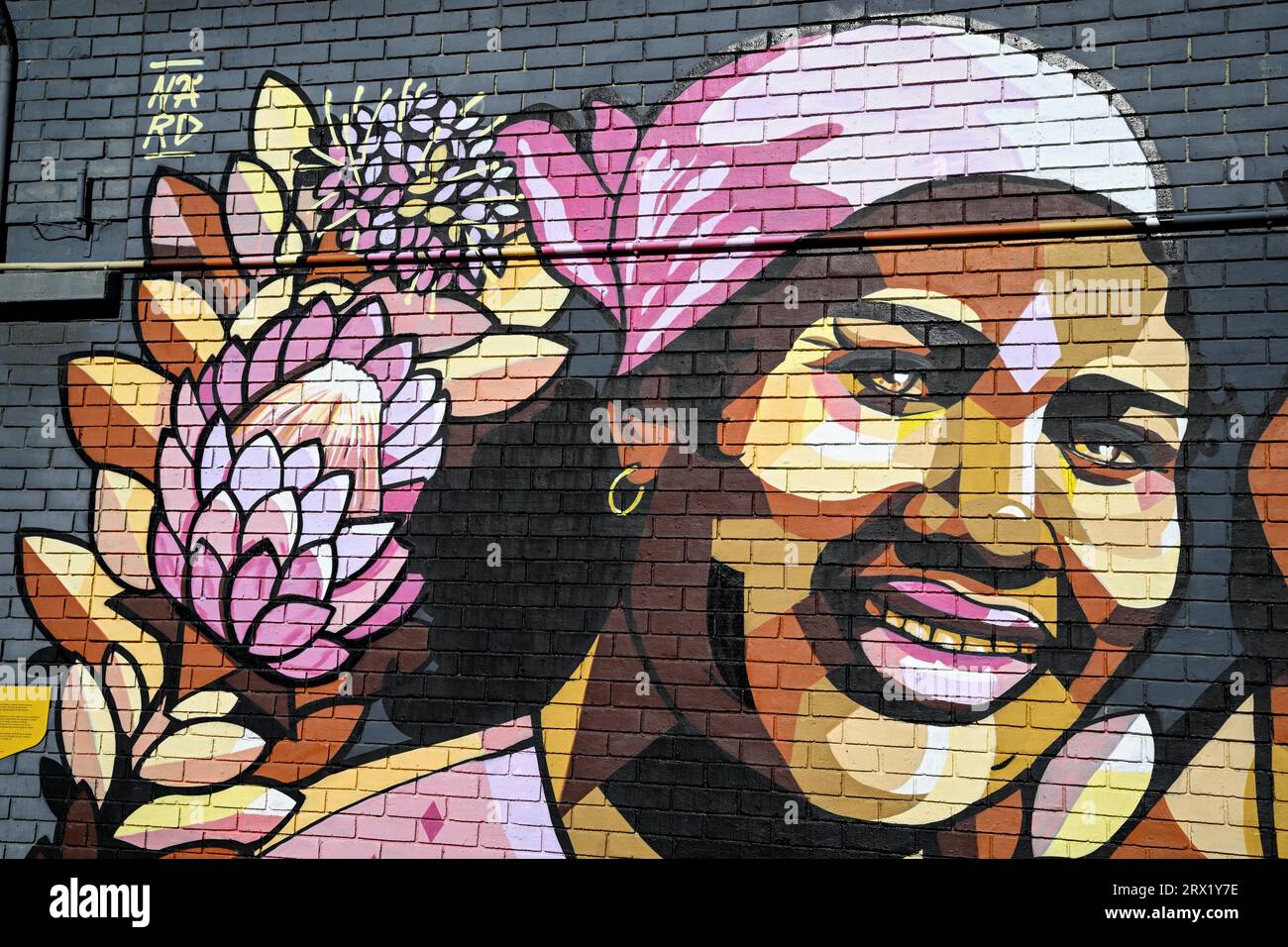 Mural at the Victoria and Alfred Waterfront, Cape Town, Western Cape ...