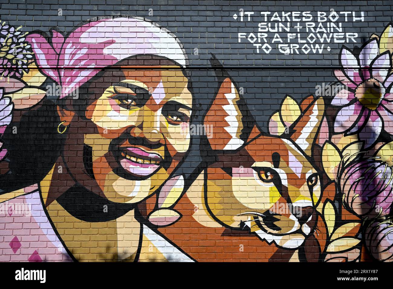 Mural at the Victoria and Alfred Waterfront, Cape Town, Western Cape ...