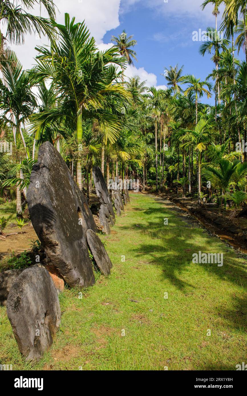 Oversized Large Giant Stone Coins Real Stone Money Stone Money Bank in ...