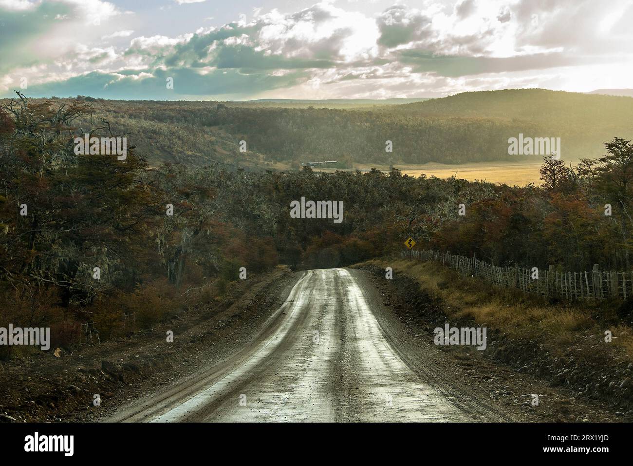 Empty dirt road crossing forest with small hill and sky at background ...