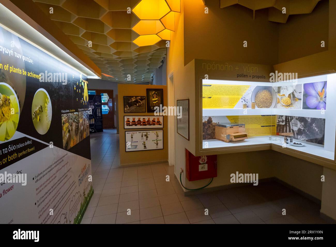 Exhibition, Bee Museum, Rhodes Island, Dodecanese, Greece Stock Photo ...
