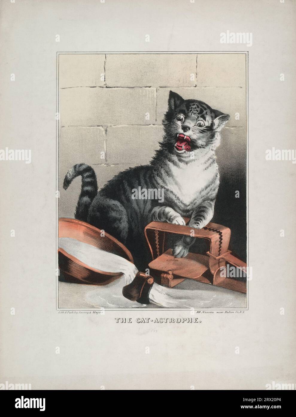 Lithograph, "The Cat-Astrophe". DL*60.2337. Peters Prints Collection ...