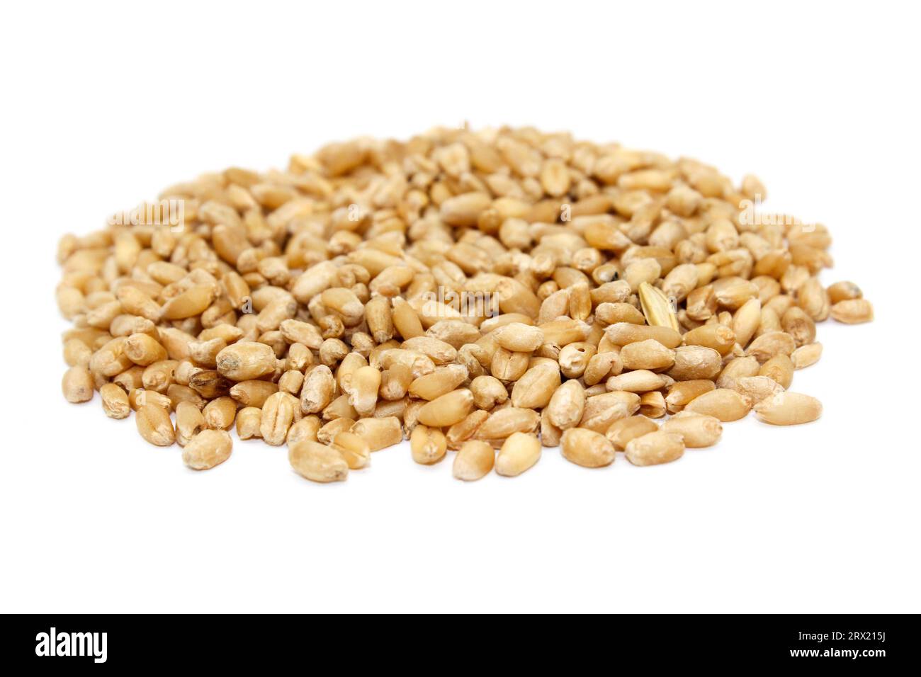 Farming seed Cut Out Stock Images & Pictures - Alamy