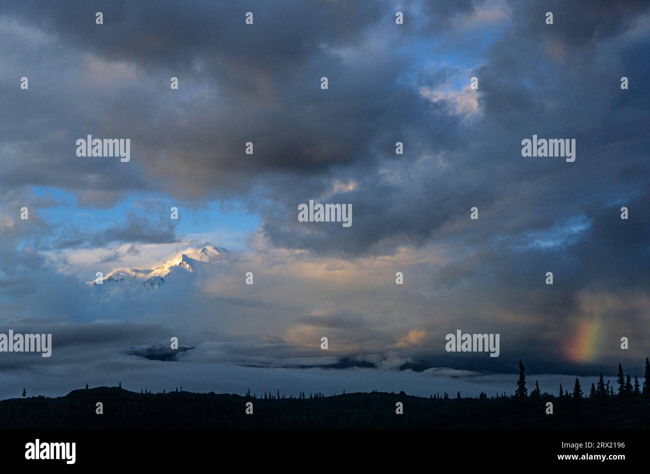The peak of Denali rising out of the clouds, The peak of Denali between ...