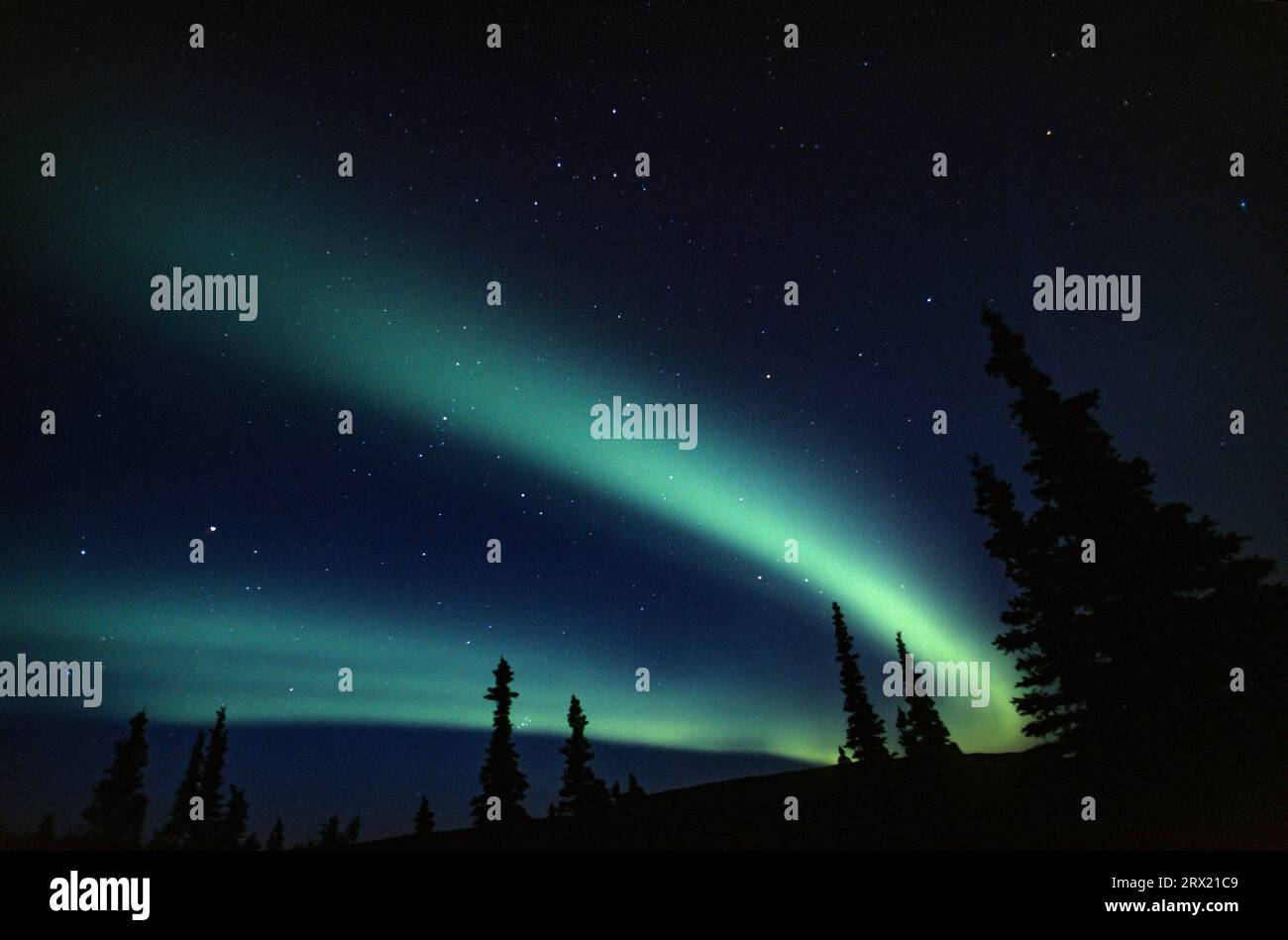 Denali national park northern lights hi-res stock photography and ...