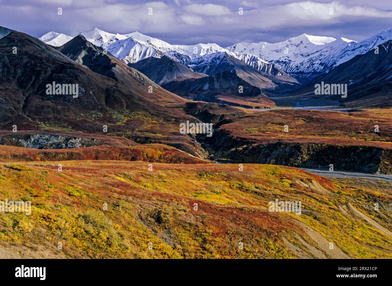 Alaska Range and tundra landscape in Indian summer, Denali National ...