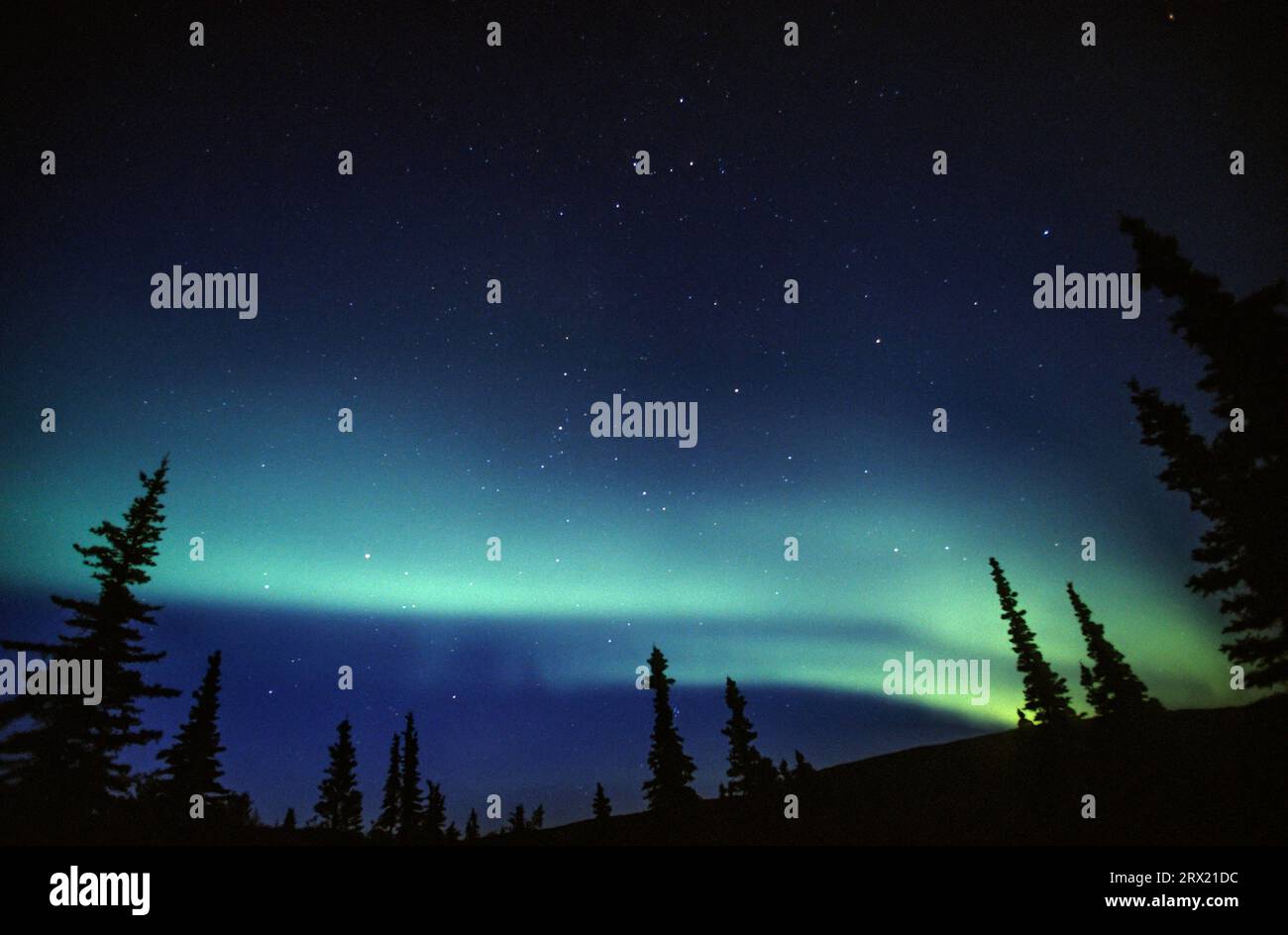 Northern Lights at night sky, Denali National Park, Alaska Stock Photo ...