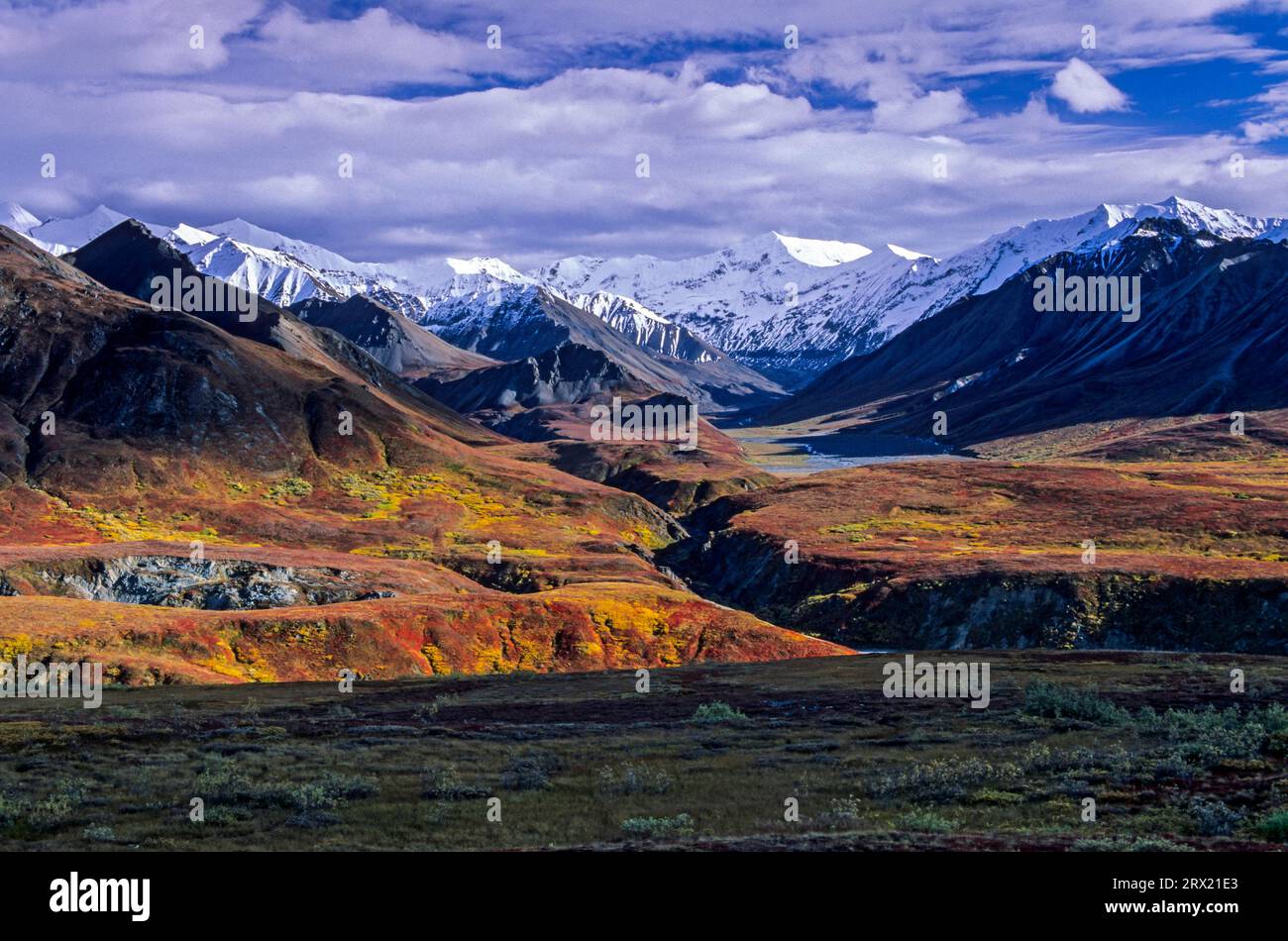 Alaska Range and tundra landscape in Indian summer, Denali National ...