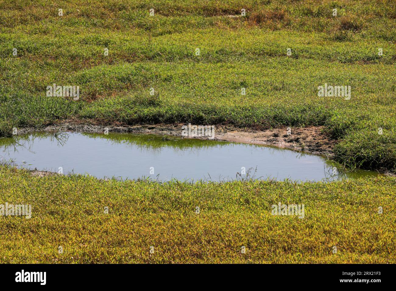 Low lying areas hi-res stock photography and images - Alamy