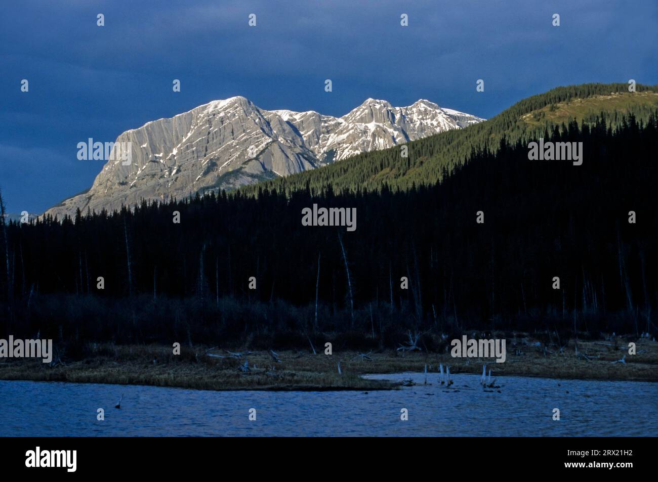 Lake Talbot and mountains of the Miette Range, Jasper National Park ...