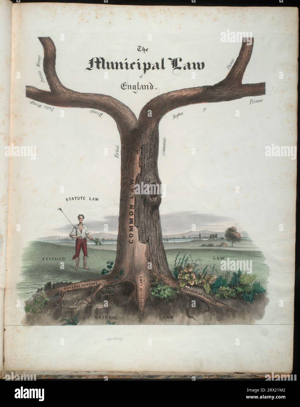 Lithograph, 'The Municipal Law of England'. DL*60.2448. Peters Prints ...