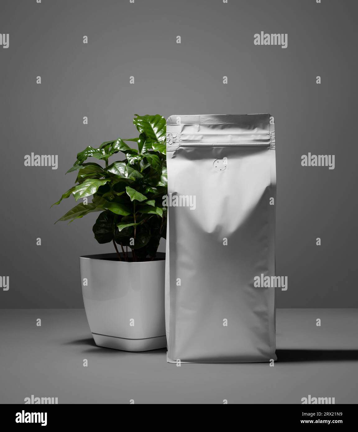 Mockup of white pouch with a valve, with Arabica in a pot, blank doy ...