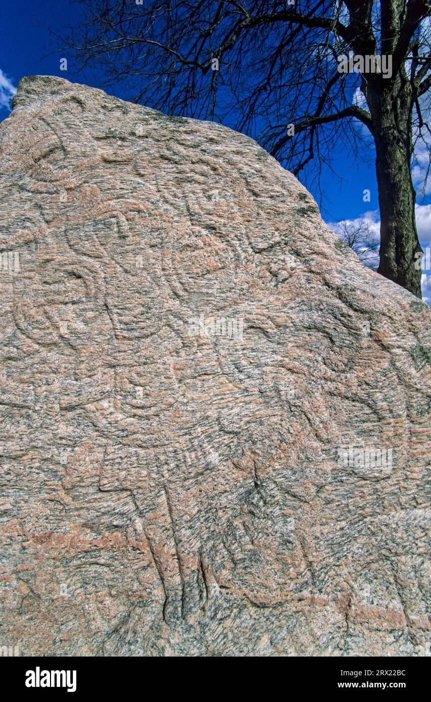 The GREAT RUN STONE OF JELLING the TAUFSTEIN DAENEMARKS created between ...