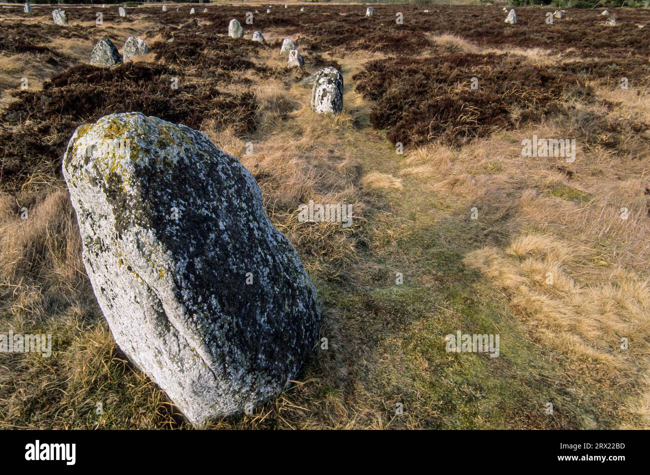 Viking burial ground with the typical stone settings and clear marking ...