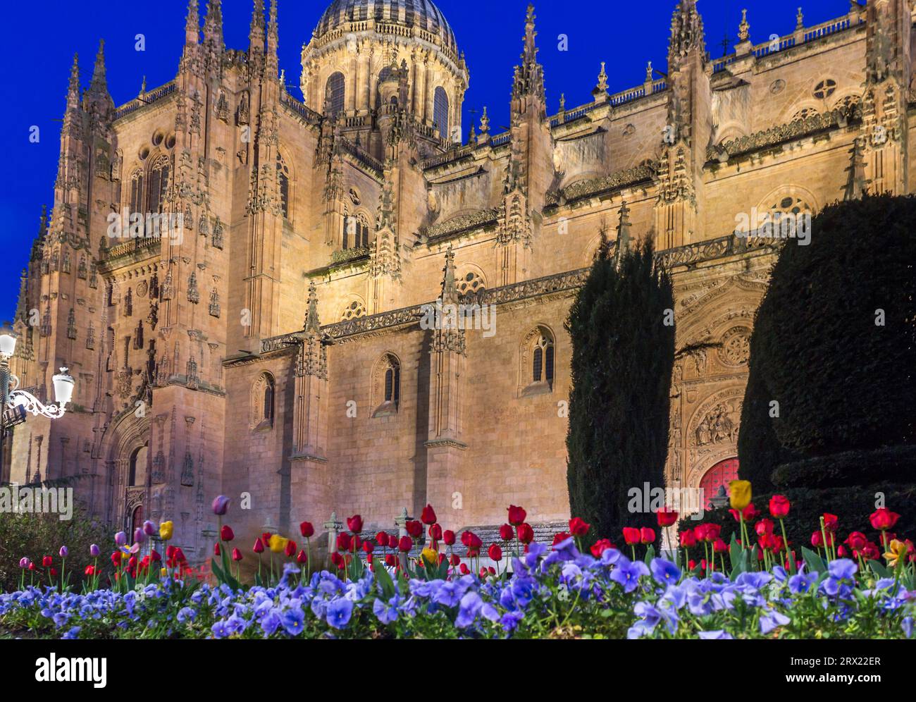 Catedral león españa hi-res stock photography and images - Alamy