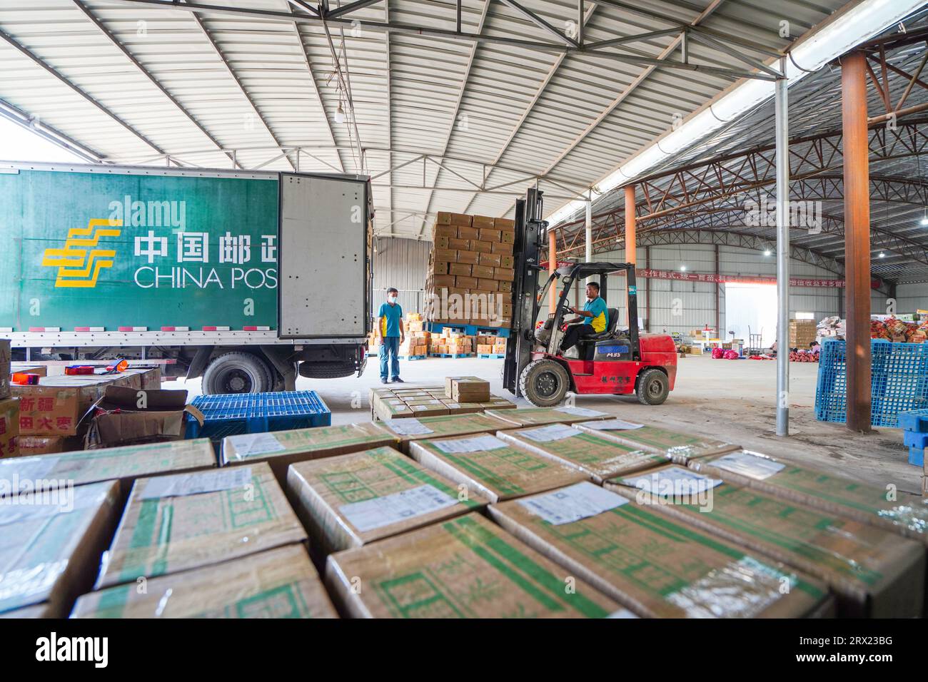 Luannan County, China - September 4, 2022: Workers drive forklifts to ...