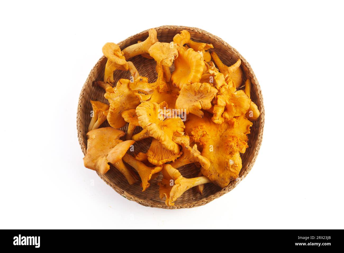 Chanterelle or girolle mushrooms isolated on white background Stock ...