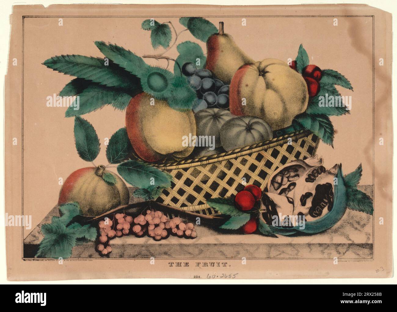 Lithograph, "The Fruit". DL*60.2655. Peters Prints Collection Stock ...