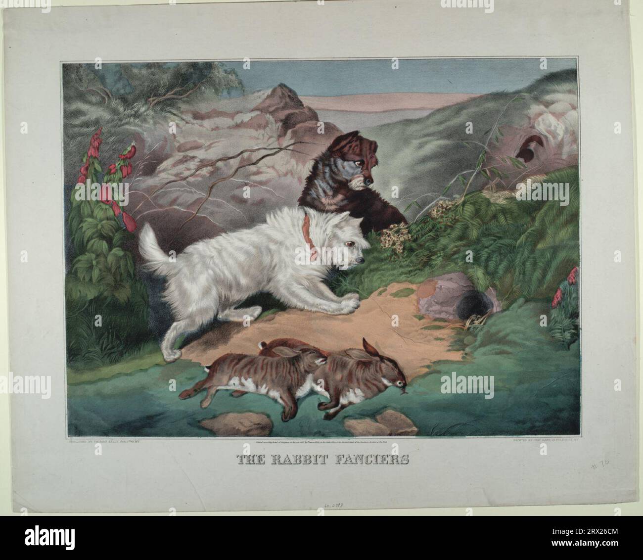 Lithograph illustration rabbit hi-res stock photography and images - Alamy