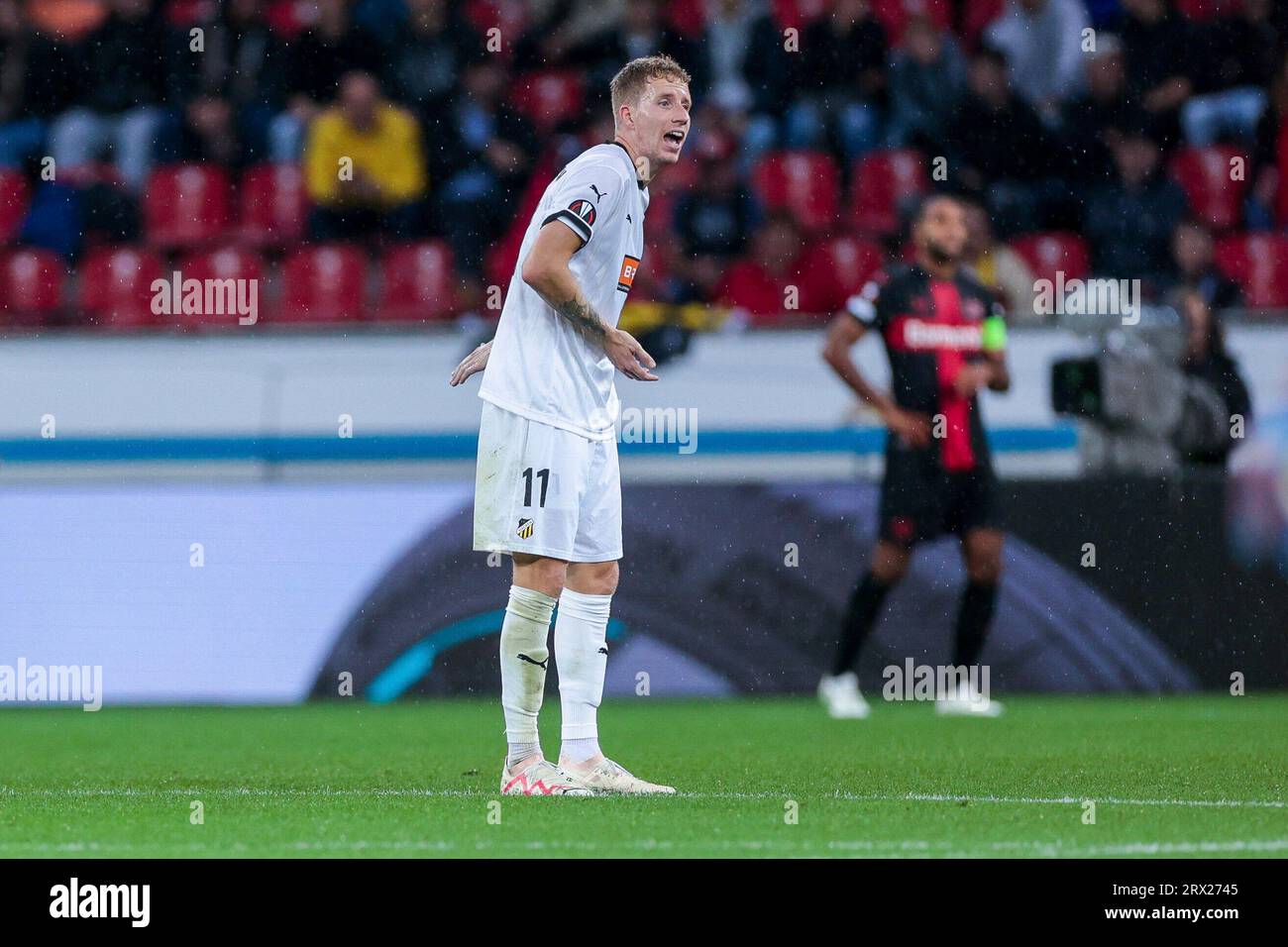 Leverkusen, Deutschland. 19th Sep, 2023. 21.09.2023, Fussball, Saison ...