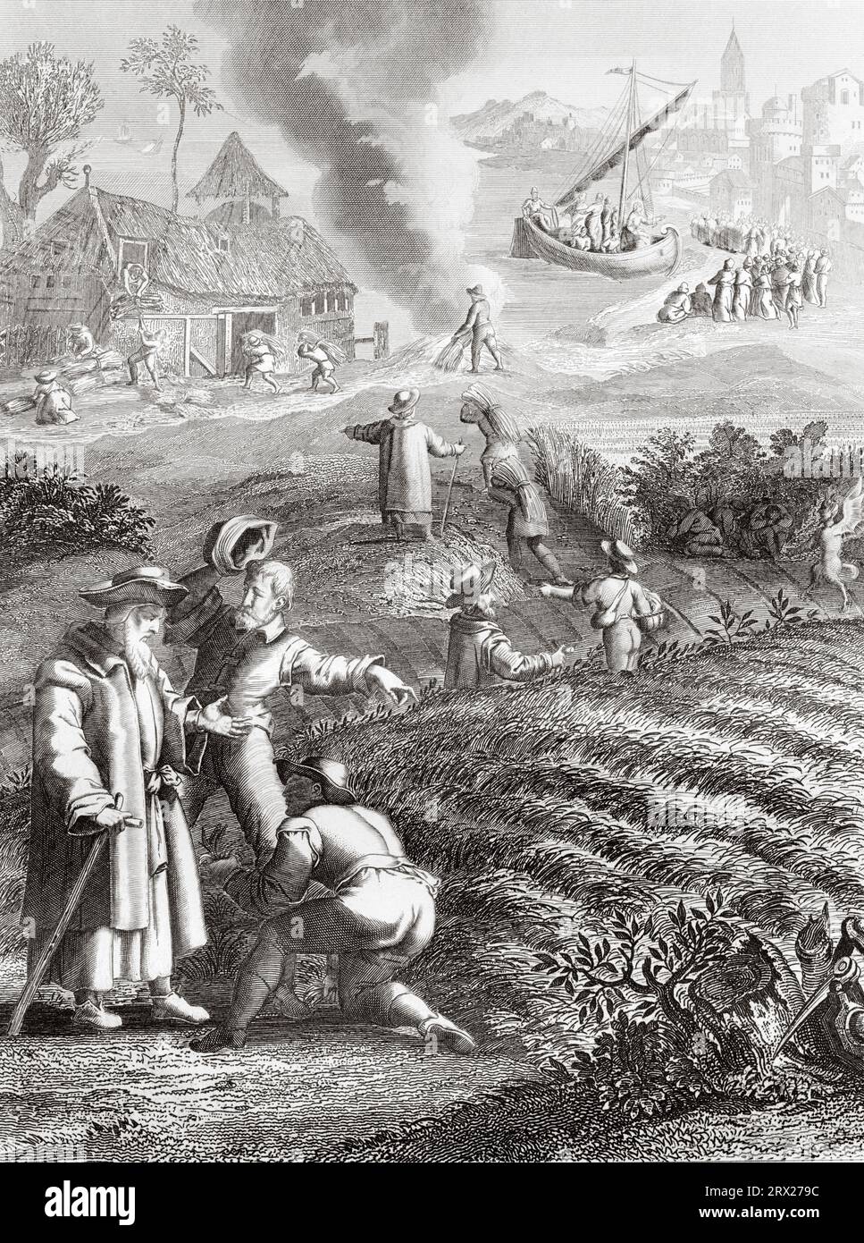 The Parable of the Wheat and the Tares. Illustration for The life of ...