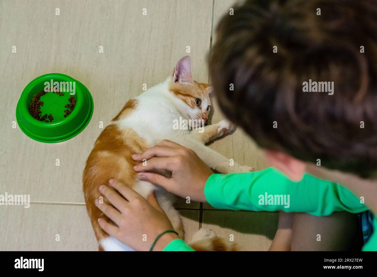 A boy petting his cat lying on the floor. Domestic aminal Stock Photo ...