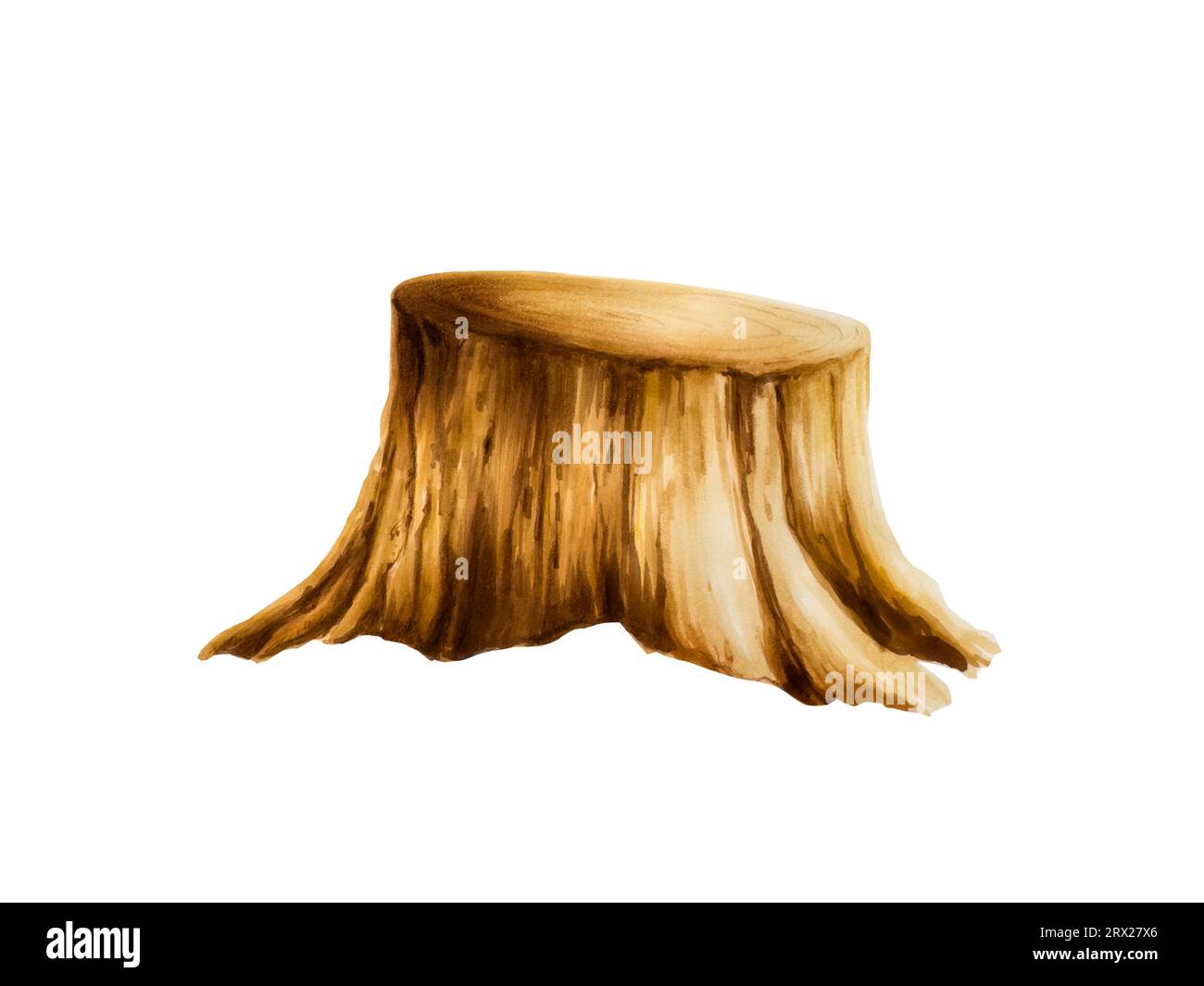 Watercolor watercolor wooden sign illlustration. Direction indicators ...