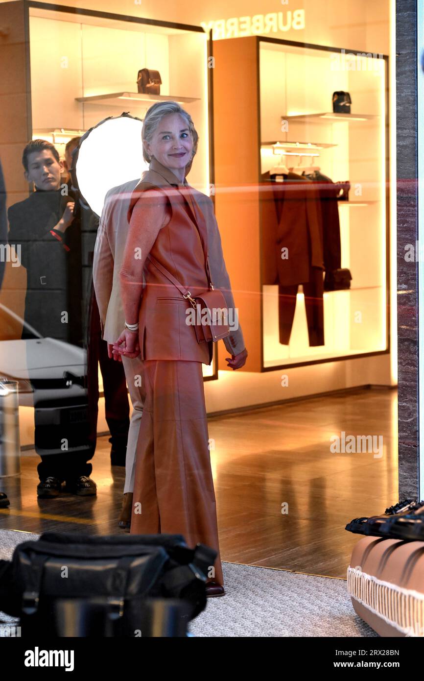 Sharon stone 2023 hi-res stock photography and images - Alamy