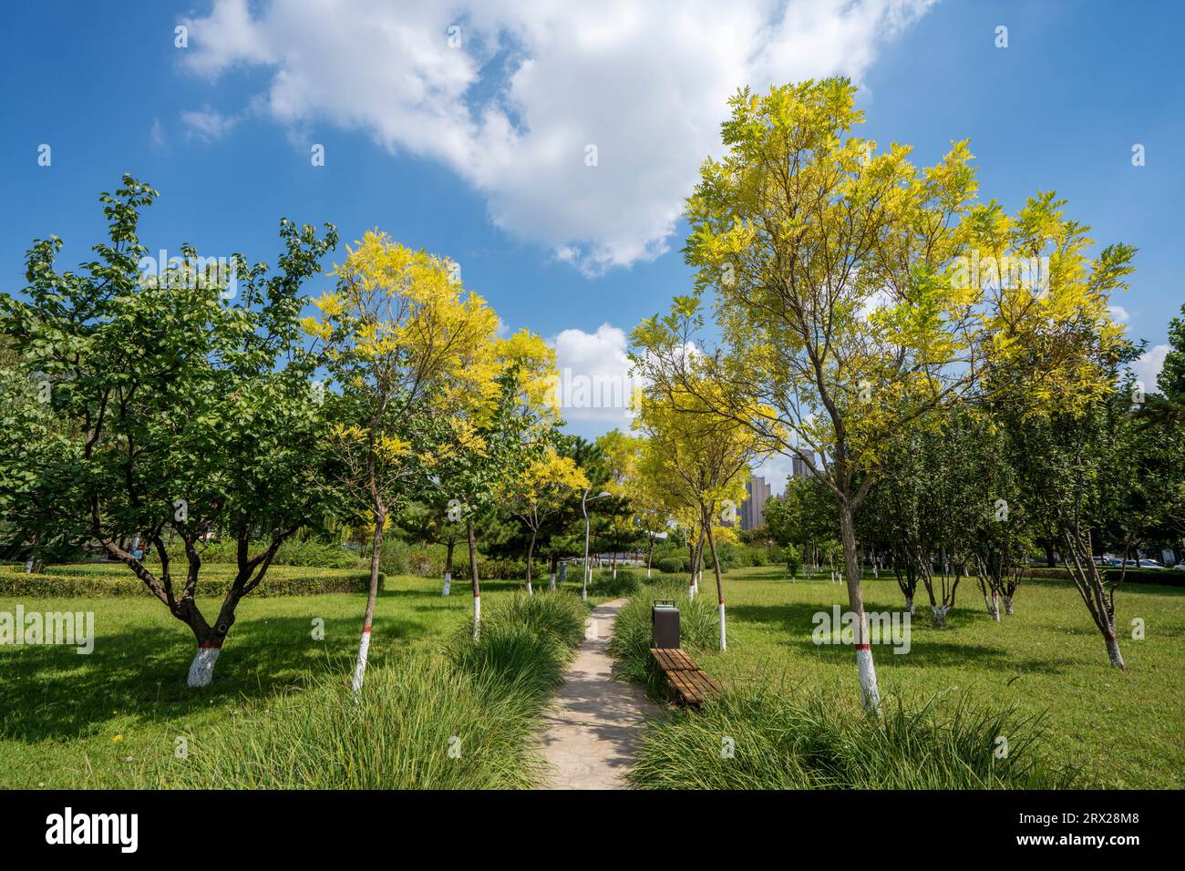 Urban park green landscape, North China Stock Photo - Alamy