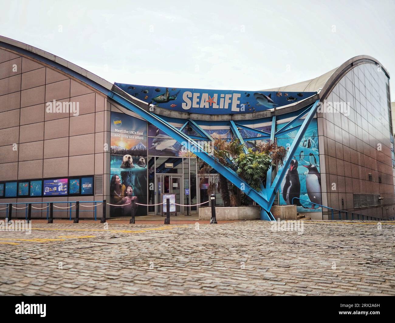Uk sea life hi-res stock photography and images - Alamy