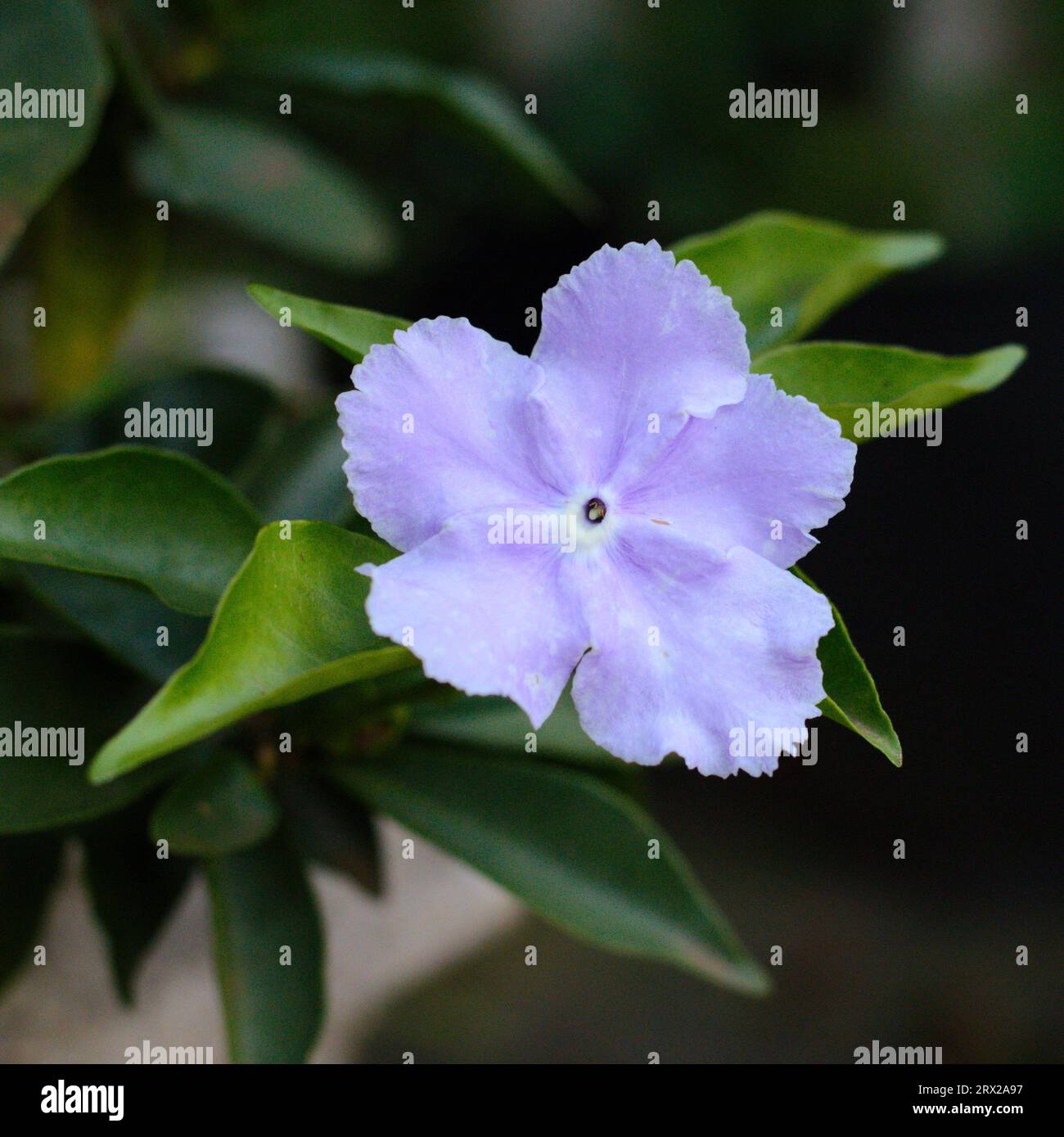 Morning noon and night hi-res stock photography and images - Alamy