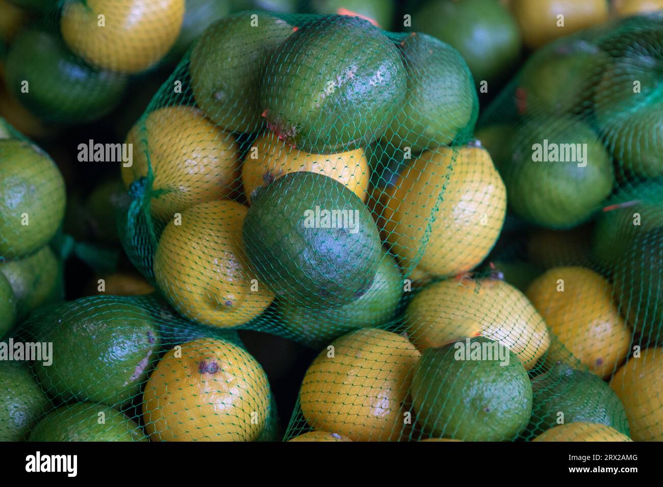 Bags of lemons and limes at the market Stock Photo - Alamy