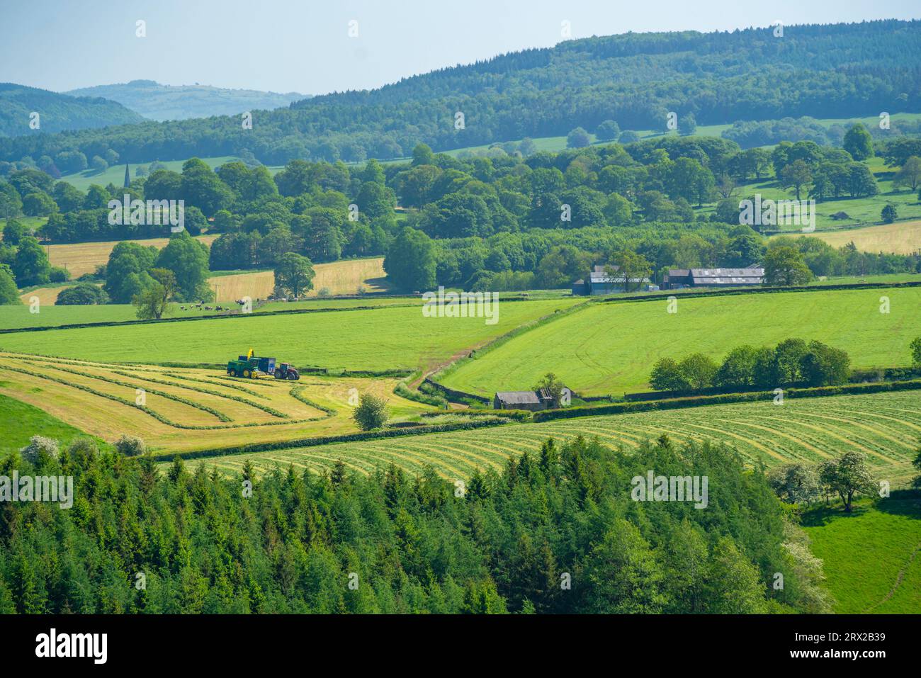 View of farmland near Chatsworth House in spring, Derbyshire Dales ...