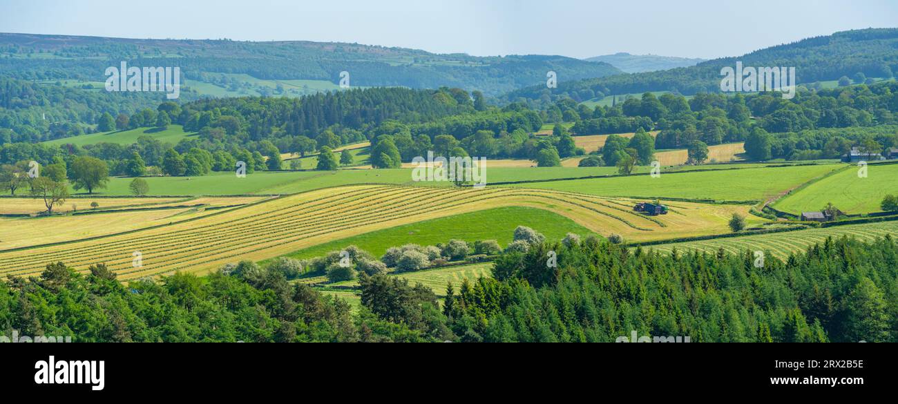 View of farmland near Chatsworth House in spring, Derbyshire Dales ...