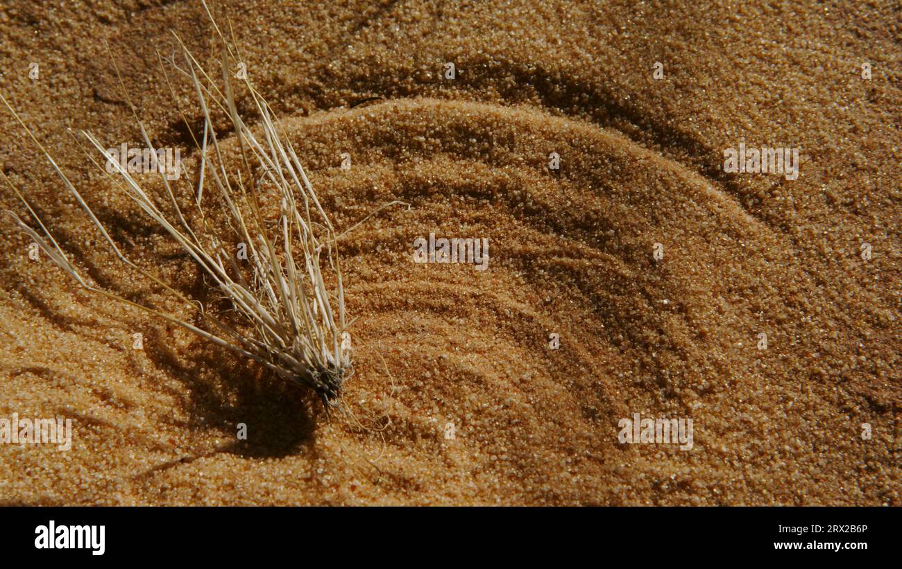 Concentric circles in nature hi-res stock photography and images - Alamy