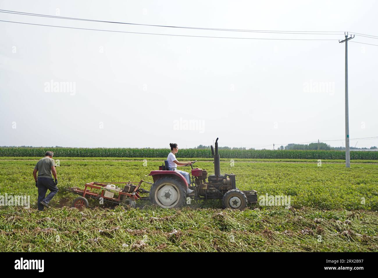 Luannan County, September 14, 2022: A young and beautiful girl drives ...