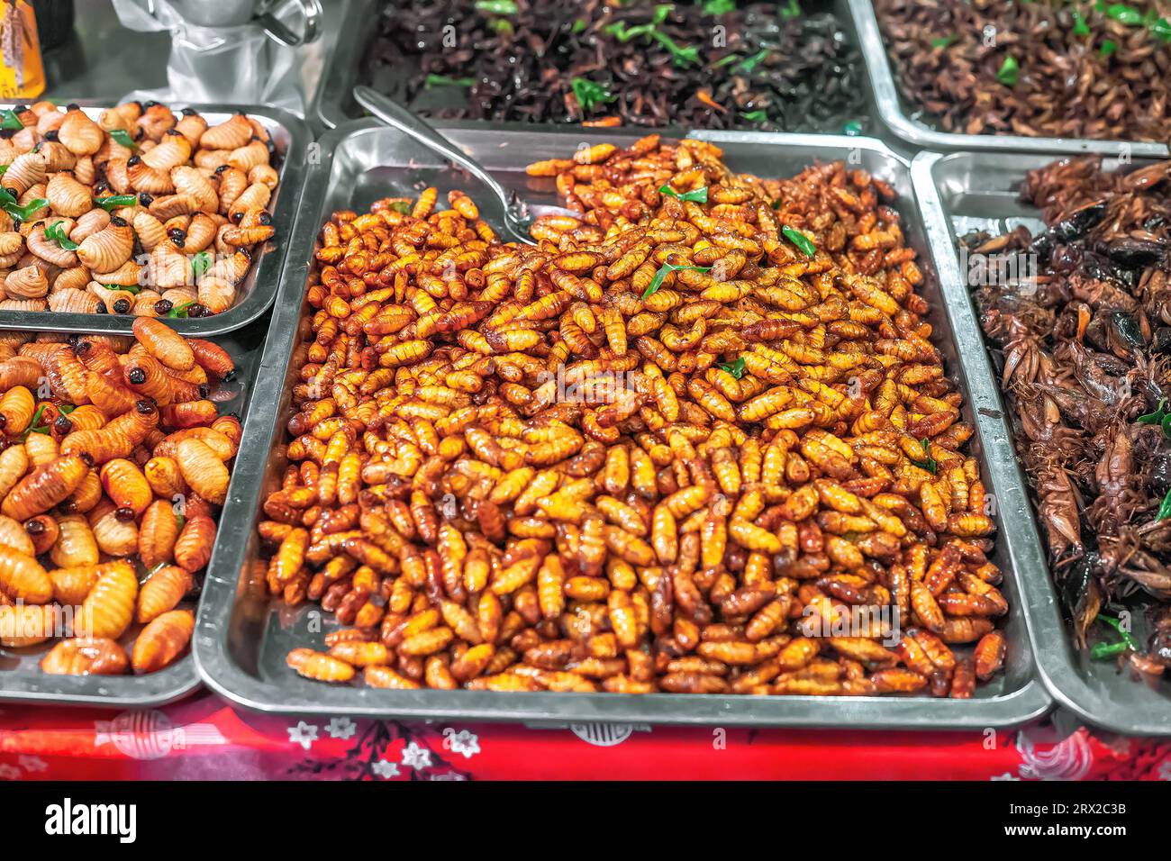 Thai food deep fried spicy silk worms and insects at night street ...