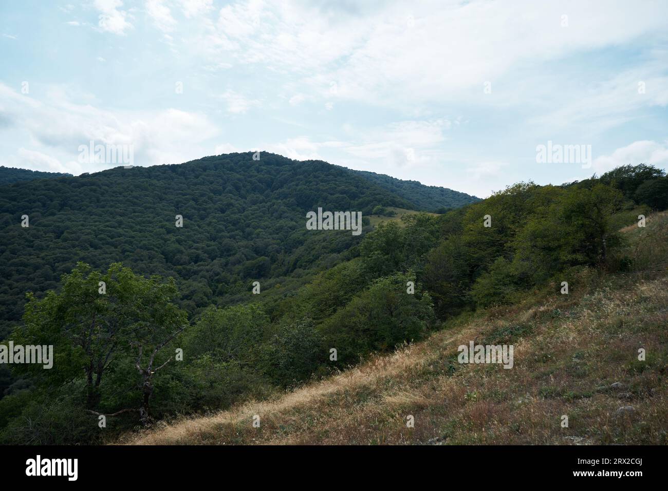 A tourist trip to the natural places of Georgia, the Caucasus. Algeti ...