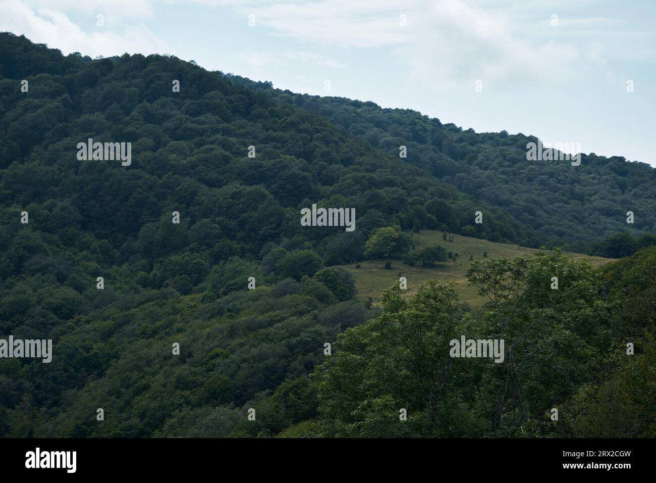 Algeti national park hi-res stock photography and images - Alamy