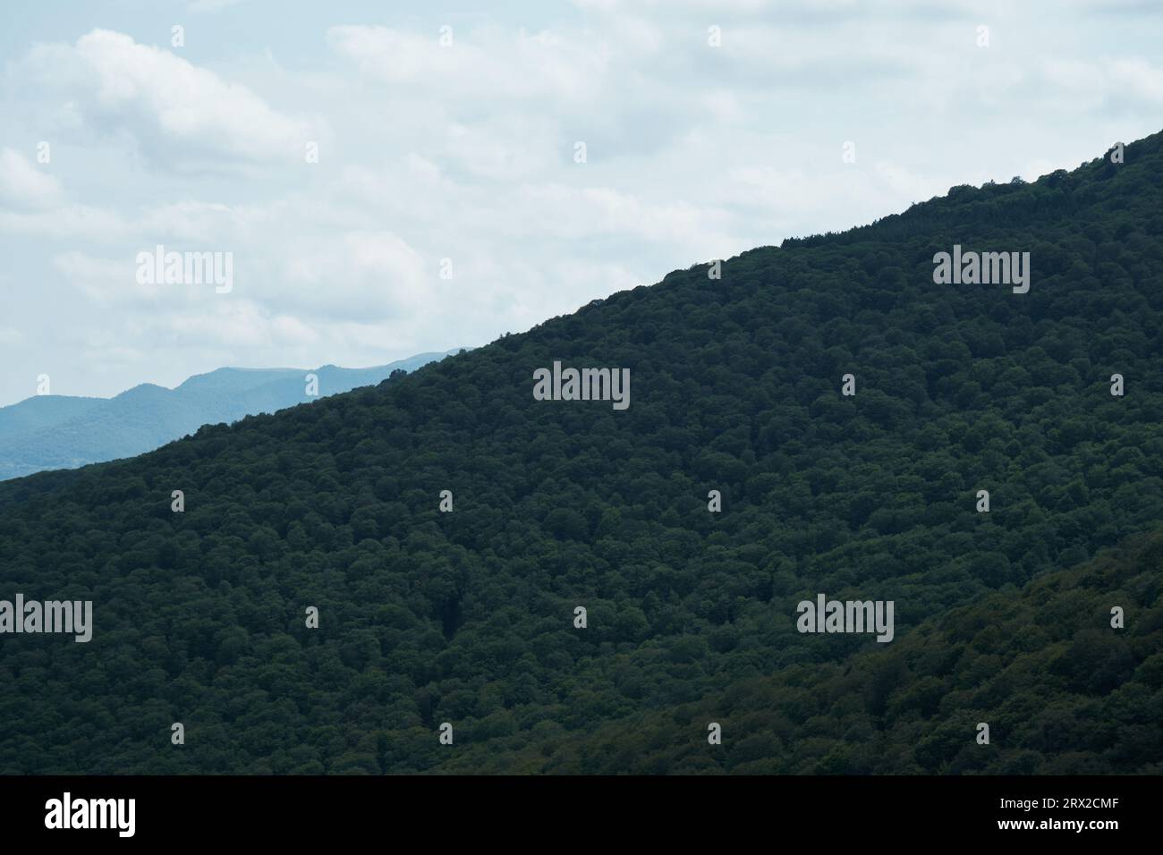 A tourist trip to the natural places of Georgia, the Caucasus. Algeti ...
