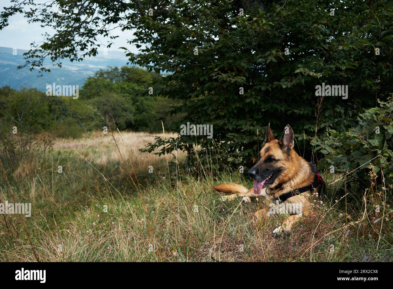 Algeti national park hi-res stock photography and images - Alamy
