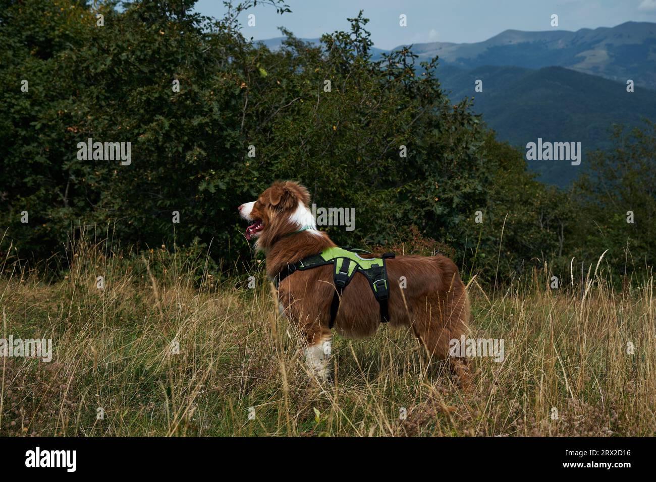 Algeti national park hi-res stock photography and images - Alamy